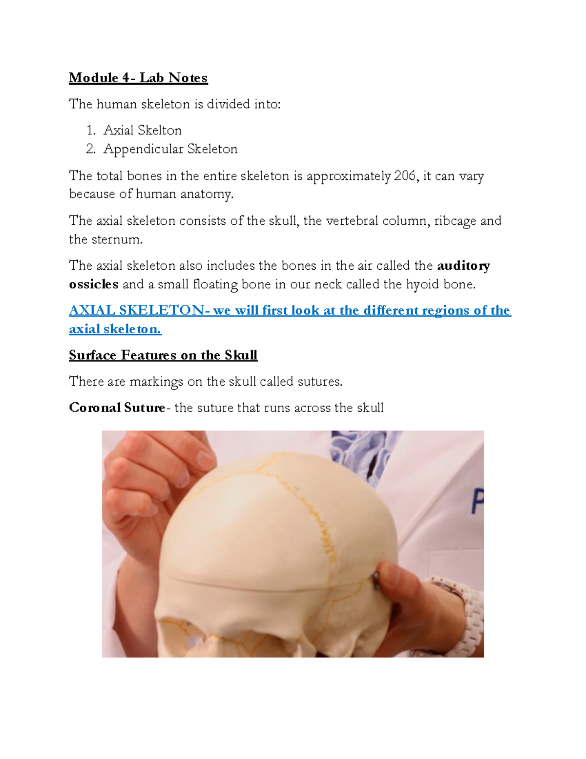Module 4-Lab notes (Feb 2024)-1 - Module 4- Lab Notes The human ...