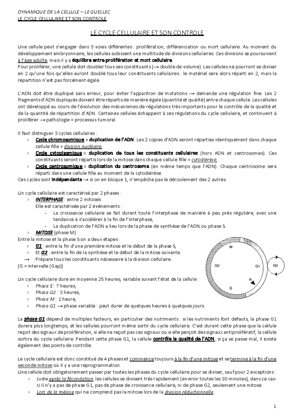 Le cycle cellulaire - LE CYCLE CELLULAIRE ET SON CONTROLE LE CYCLE ...