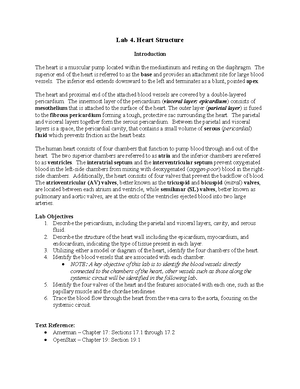 Module 1 SG HSC - Study guide - Zoe Winstead Chapter 1 Define each of ...