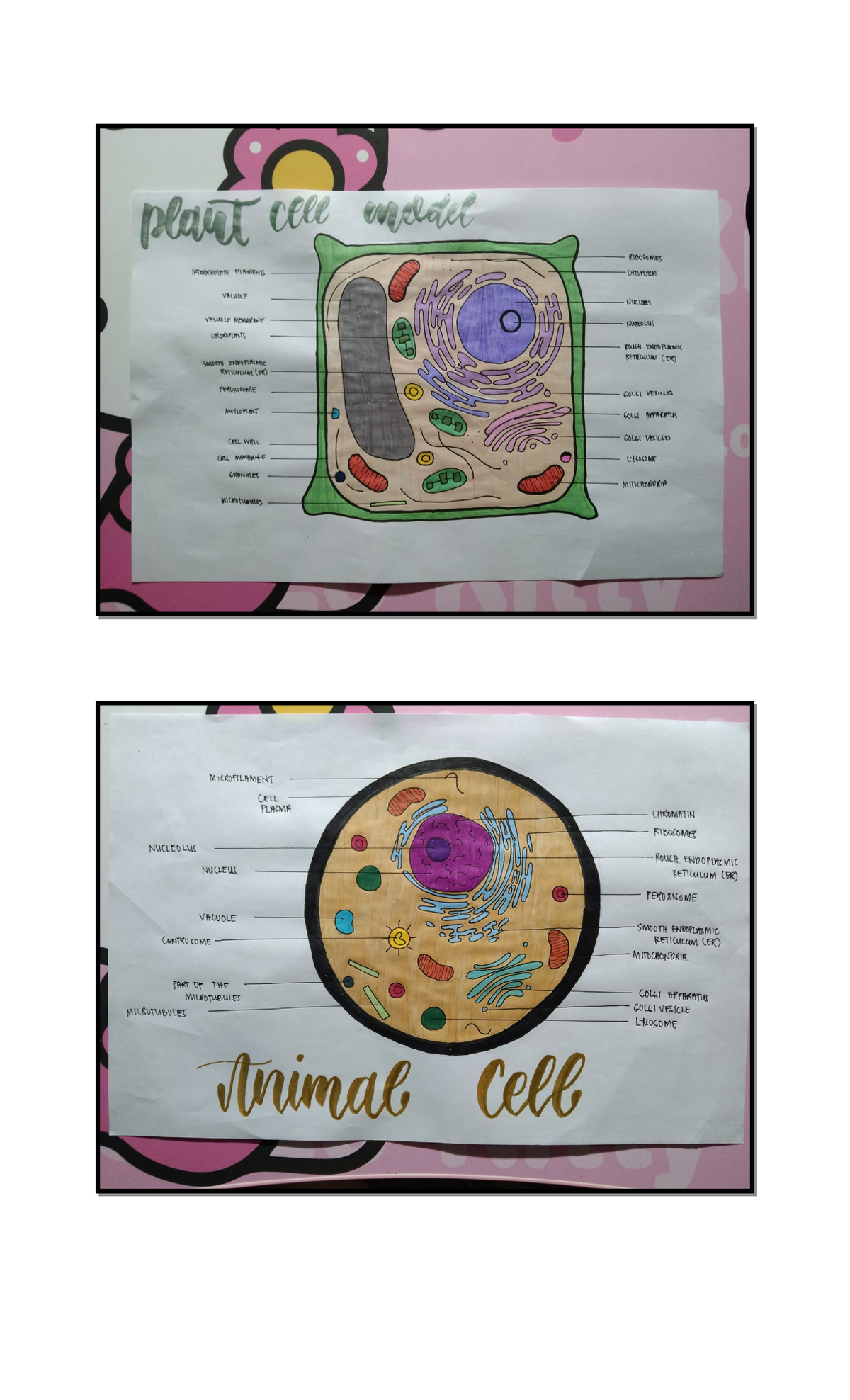 Cells and its Parts - Cells These are the smallest living unit of an ...