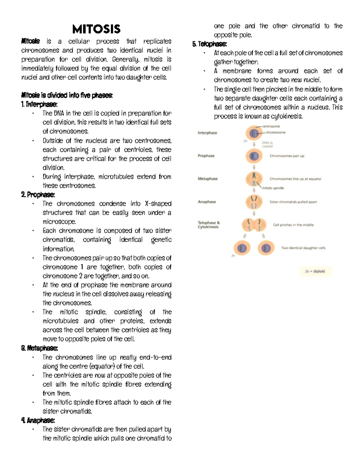 PRE- Final Lecture - fzxccvzdvzd - Mitosis is a cellular process that ...