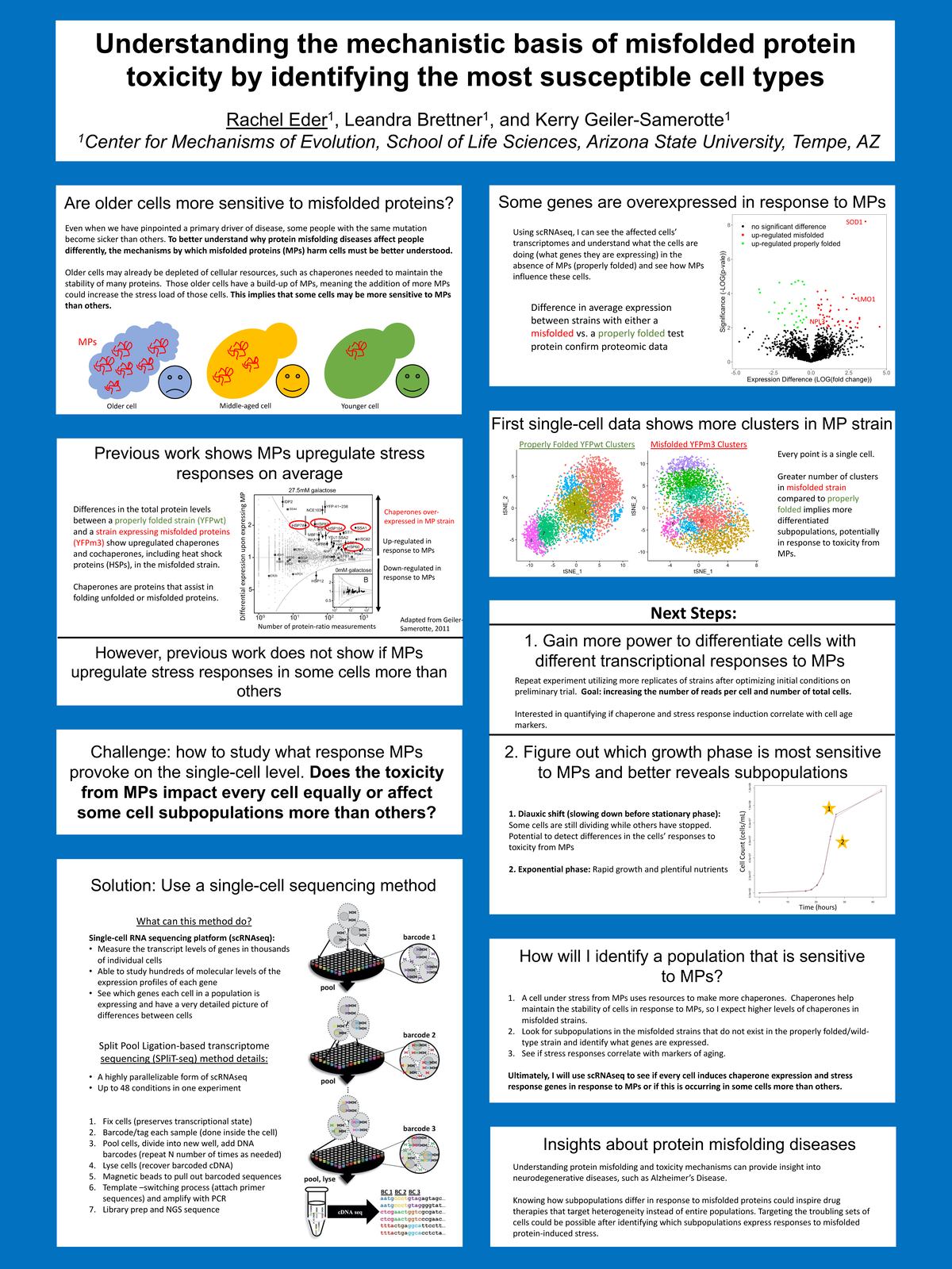 Bio Sci Poster Presentation - Using scRNAseq, I can see the affected ...