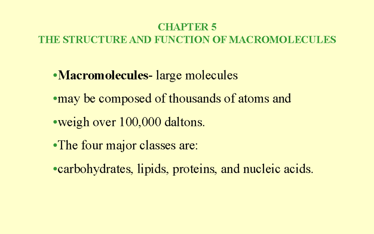 Chapter 5 - in class power point - CHAPTER 5 THE STRUCTURE AND FUNCTION ...