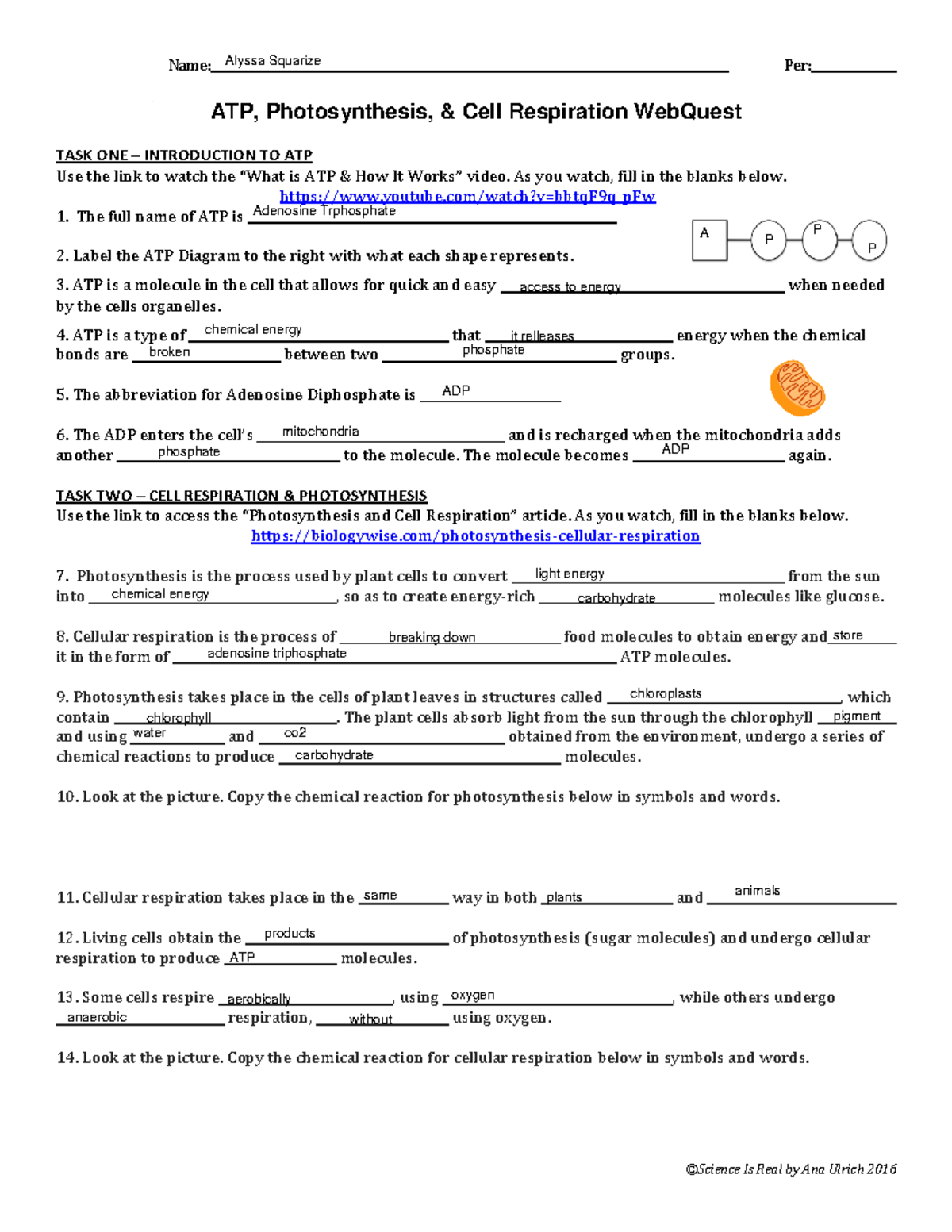 Cell Energy Quest Student Handout Long URLs Science Is Real By