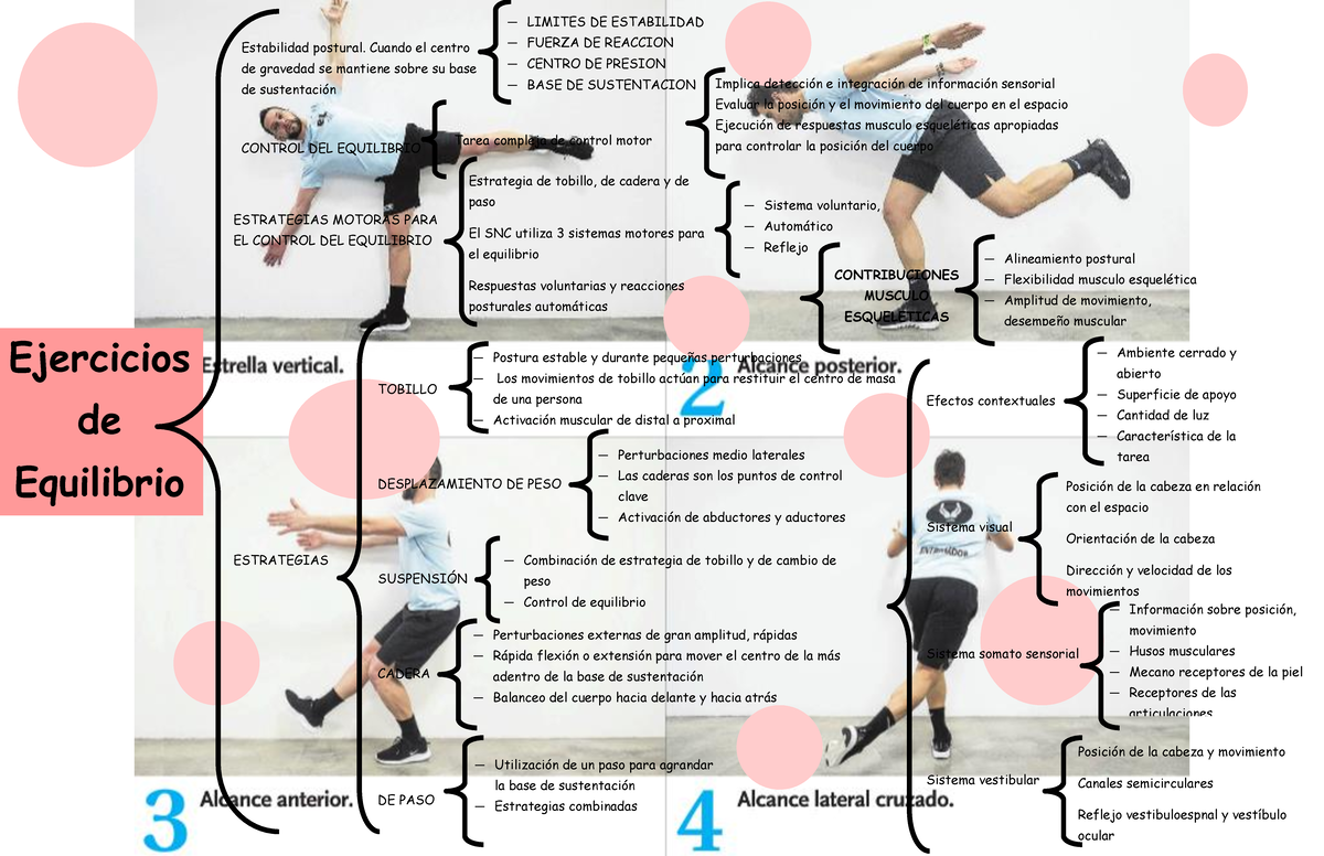 Equilibrio - Ejercicios de Equilibrio Estabilidad postural. Cuando el centro de gravedad se ...