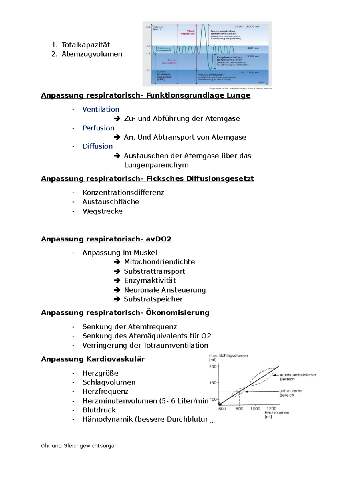 Tutorium sportmedizin - 1. Totalkapazität 2. Atemzugvolumen Anpassung ...