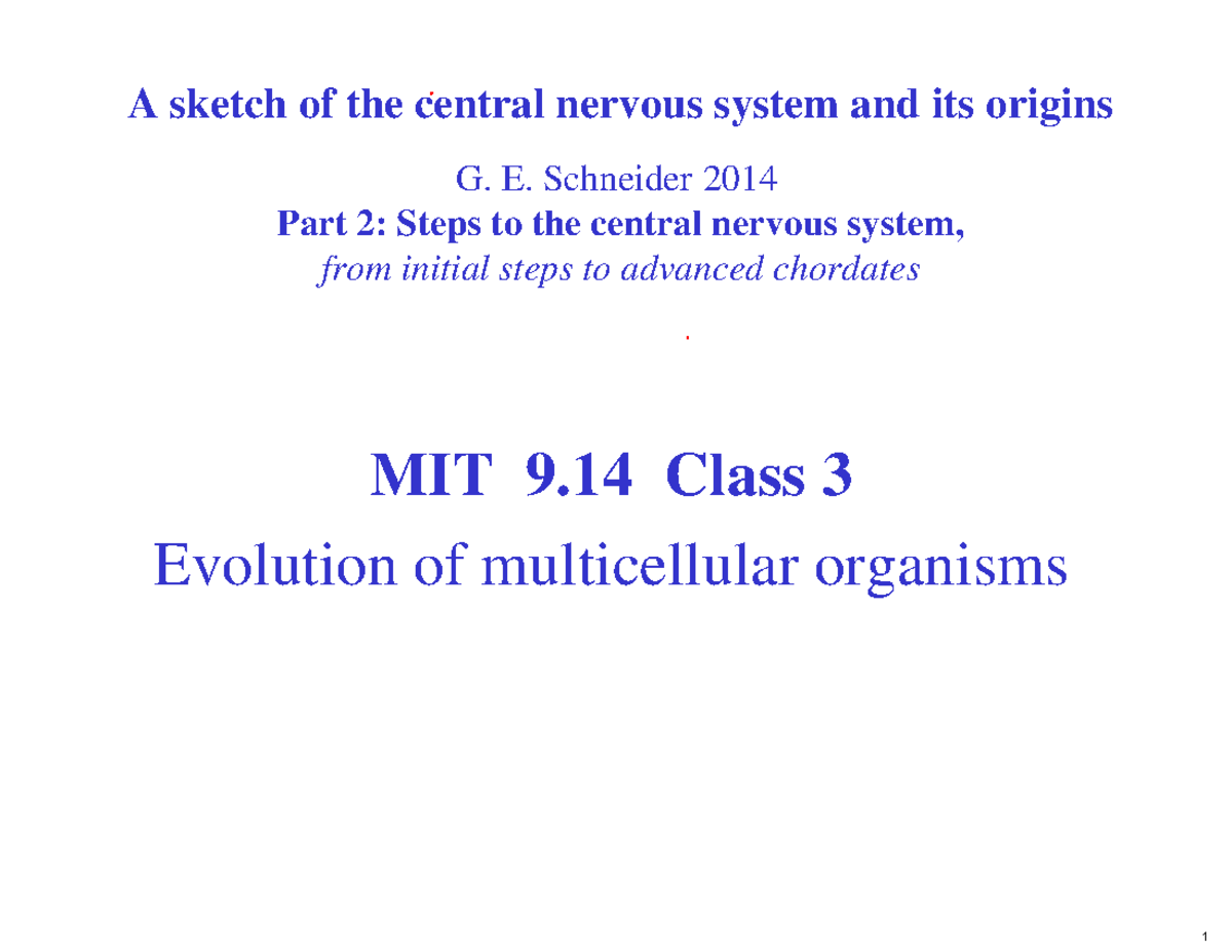 Evolution of multicellular organisms - A sketch of the central nervous ...