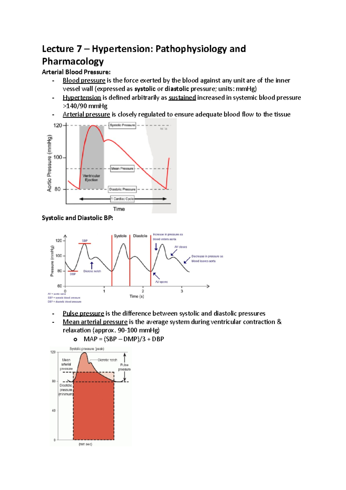 Lecture 7,8,9 notes - Lecture 7 – Hypertension: Pathophysiology and ...