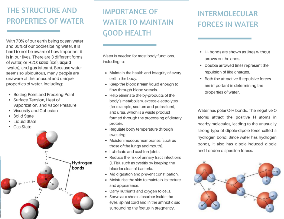 Brochure - Chems - UNIS - About water - Technology for Teaching and ...