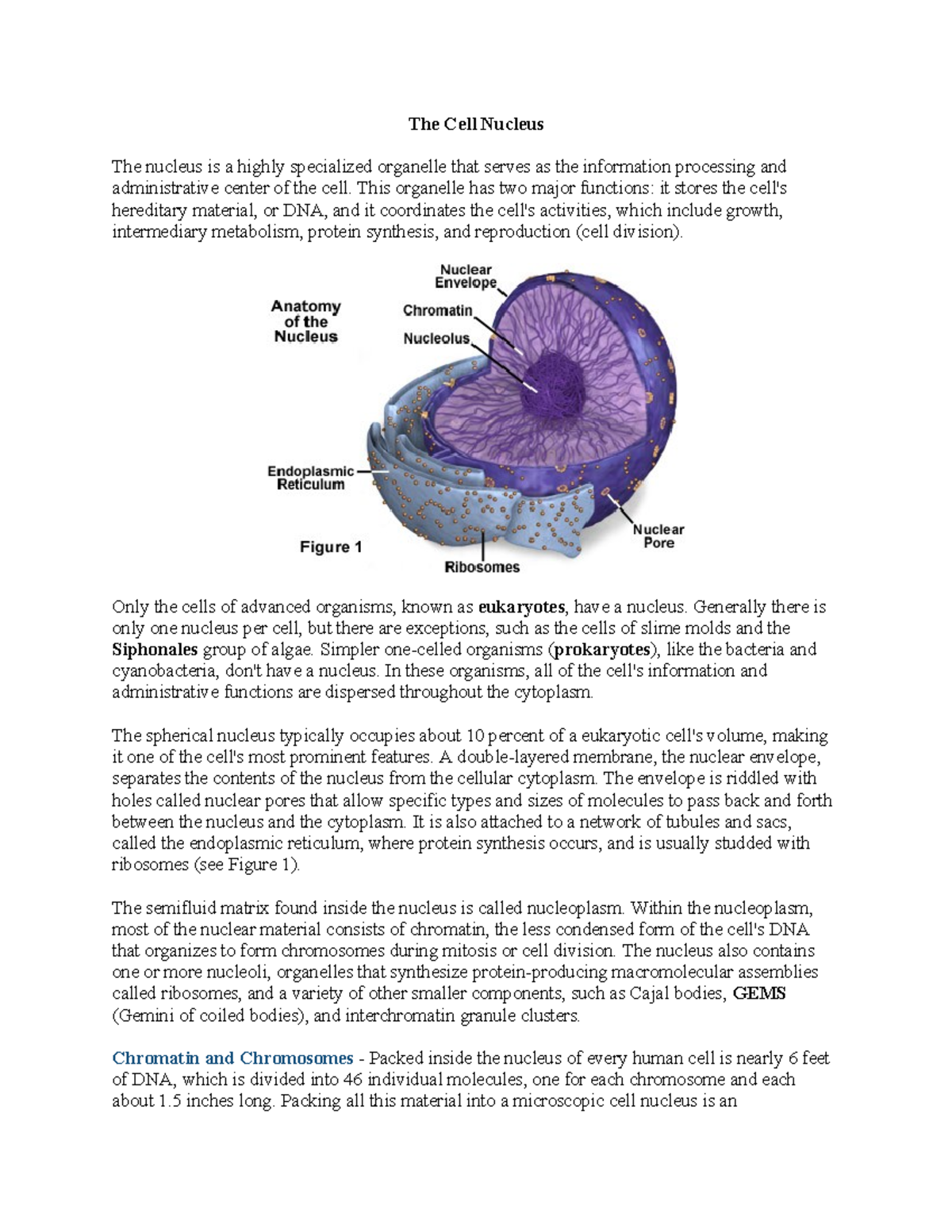 Cell Parts Notes - The Cell Nucleus The nucleus is a highly specialized ...