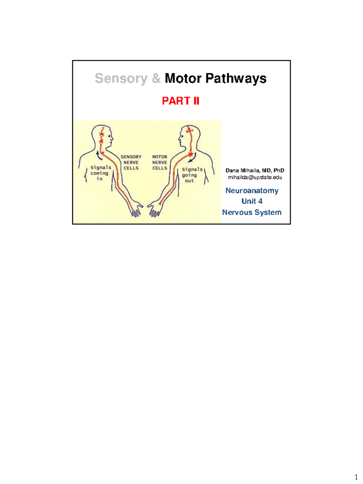 Mihaila MS1-U4 Pathways-Part2-Motor Pathways Lecture Notes 2019-2020 ...