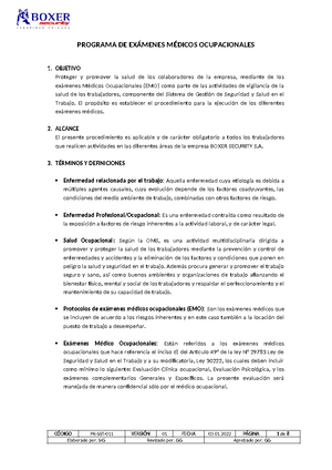 EMO Flores Huanca 2024 - examen medico ocupacional - MOLIOT FOLIO 054 L ...