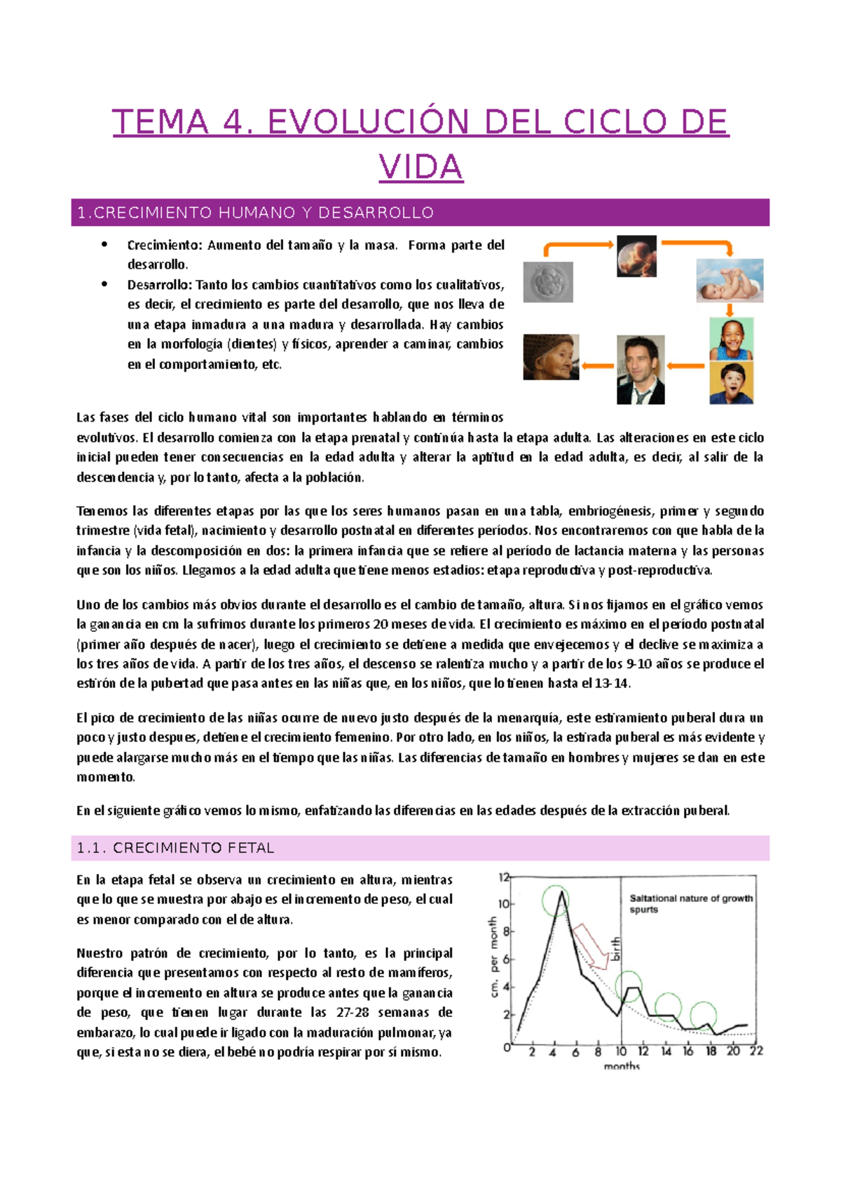 TEMA4 - Apunts 4 - TEMA 4. EVOLUCIÓN DEL CICLO DE VIDA 1 HUMANO Y DESARROLLO Crecimiento ...