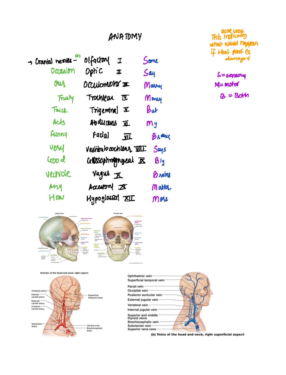 EAR self notes - Ear explained - A100 - Studocu