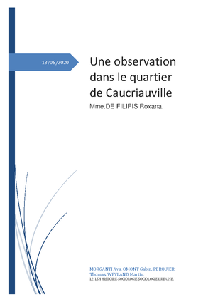 L’ Enquête PAR Observation Directe Éléments DE Définition - L’ENQUÊTE ...