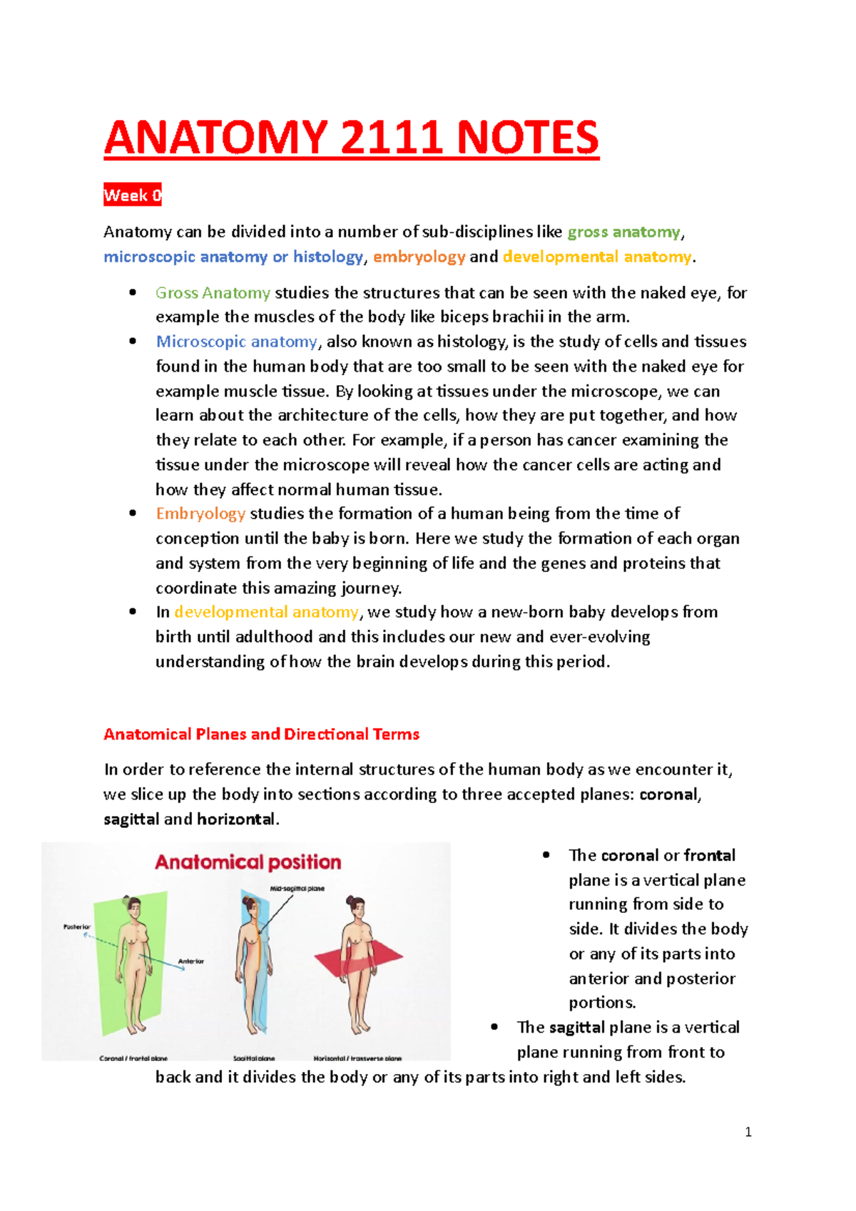 Anatomy 2111 Notes - FULL COURSE good luck good luck good luck good ...