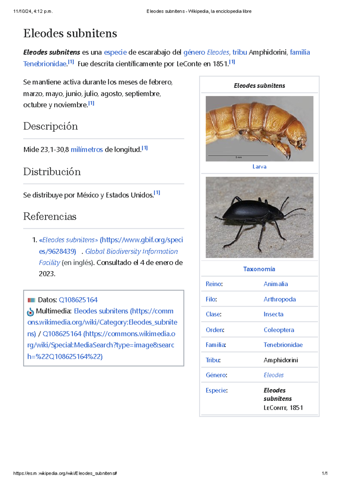 Eleodes subnitens - Wikipedia, la enciclopedia libre - Eleodes ...