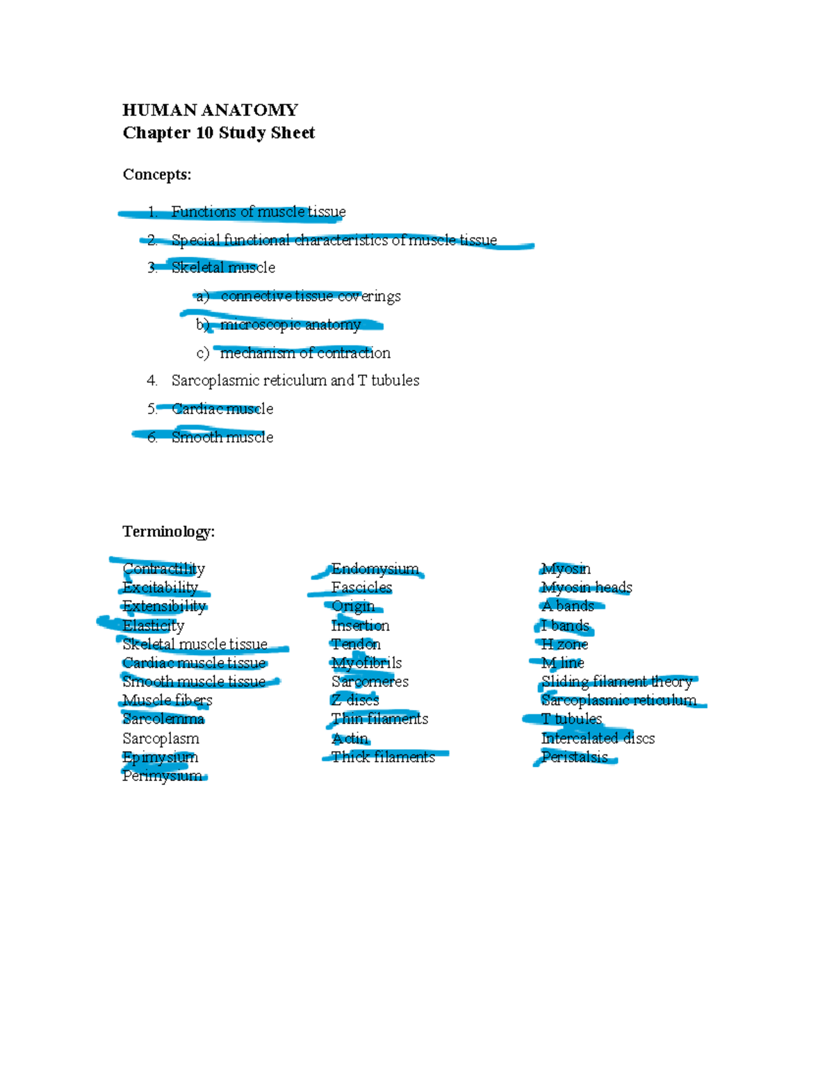 Chapter 10 study sheet copy - HUMAN ANATOMY Chapter 10 Study Sheet ...