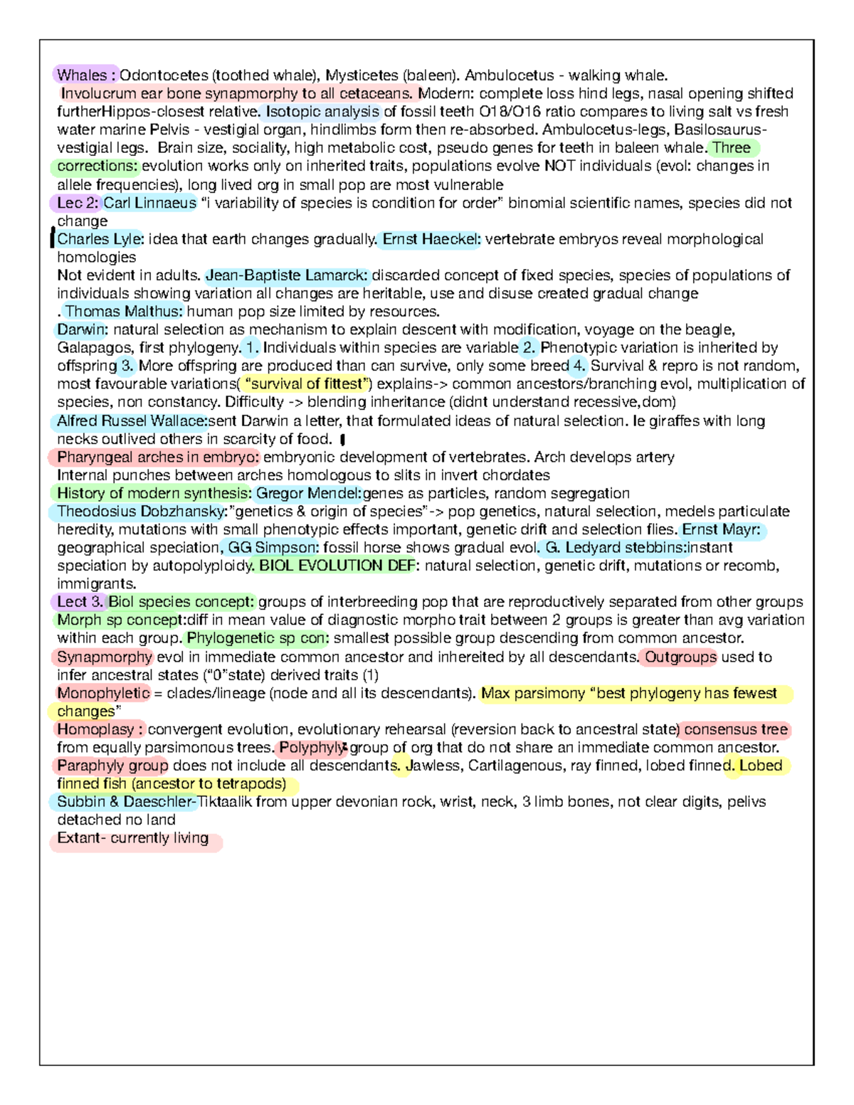 Evolution midterm 1 Cheat Sheet - Whales : Odontocetes (toothed whale ...
