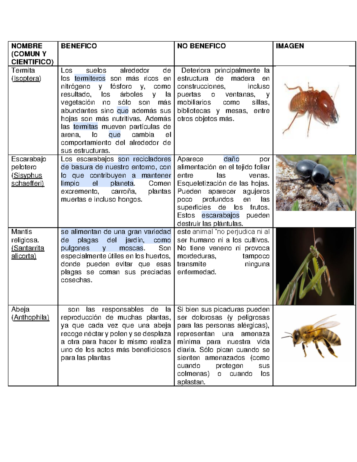 Insectos - NOMBRE (COMUN Y CIENTIFICO) BENEFICO NO BENEFICO IMAGEN ...