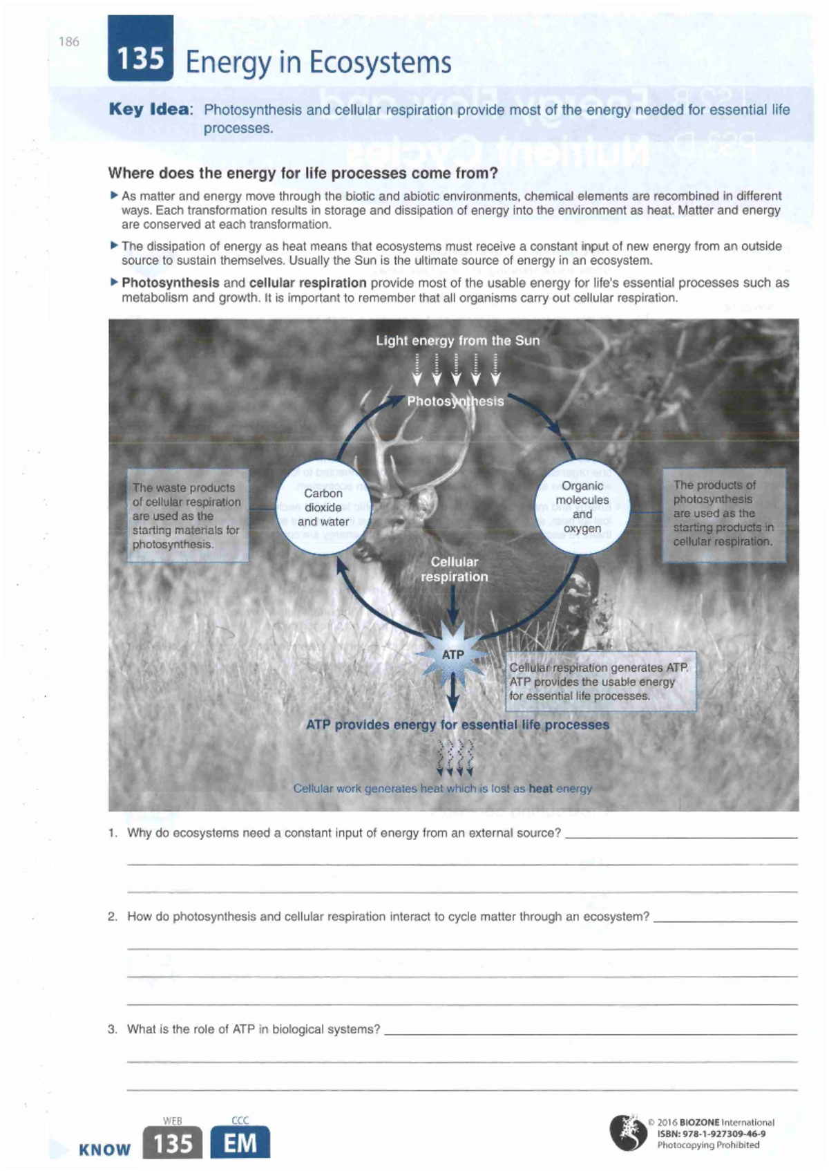 Energy in Ecosystems: Photosynthesis Respiration and Nutrient Cycling ...