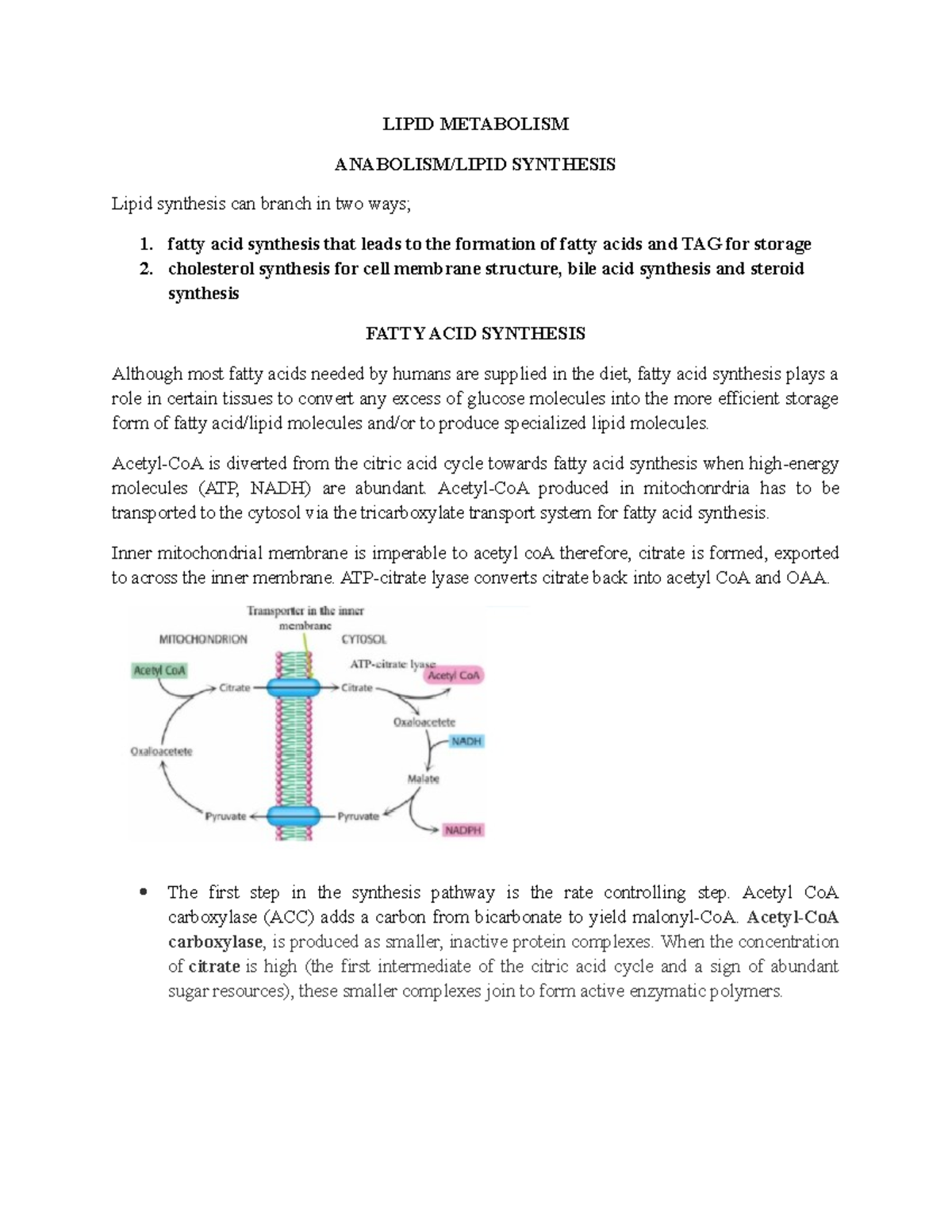 Lipid Metabolism - Just good notes to help in revision for proper ...