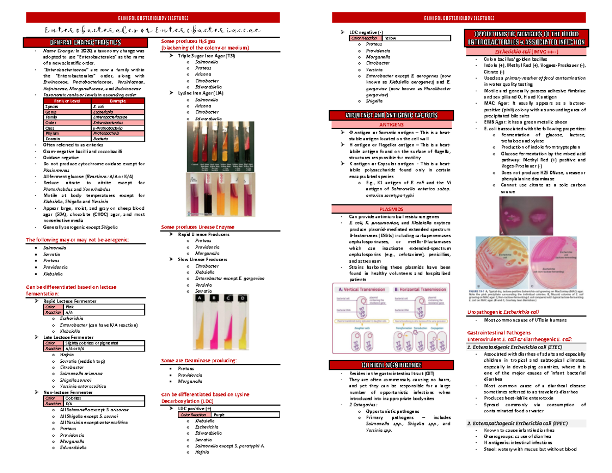 Enterobacteriaceae - Name Change: In 2020, a taxonomy change was ...