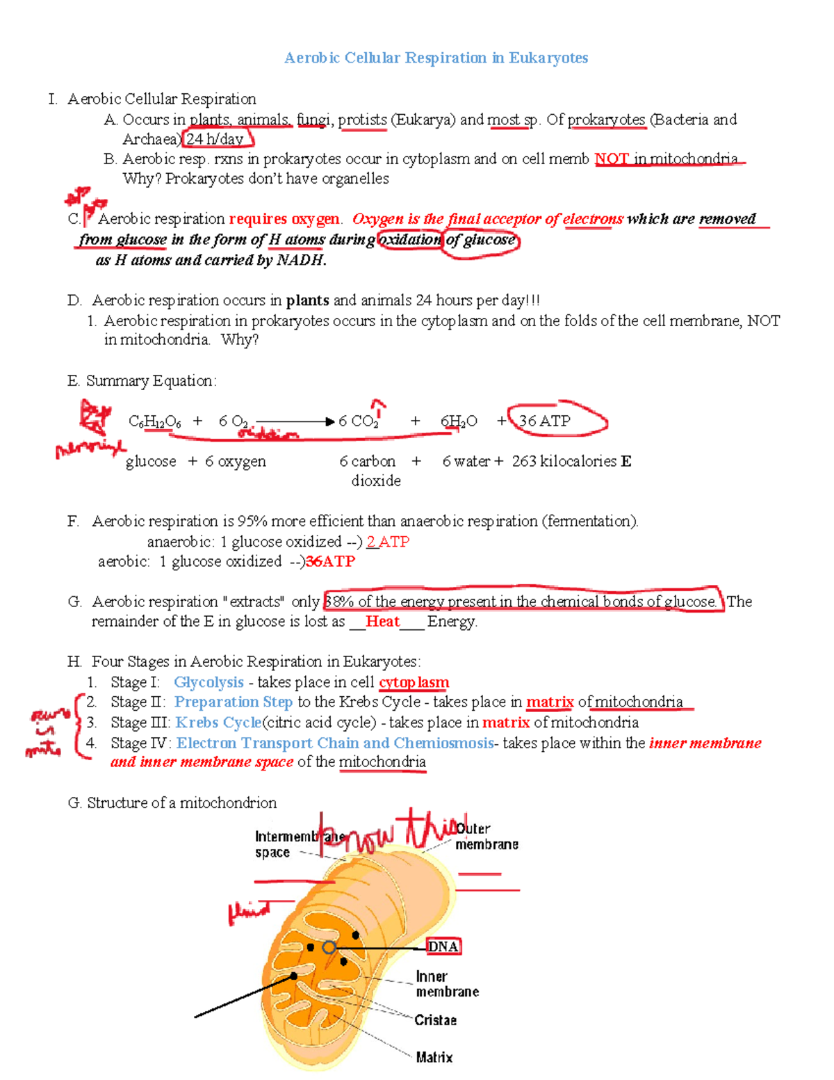 Aerobic-respiration f21 - Aerobic Cellular Respiration in Eukaryotes I ...