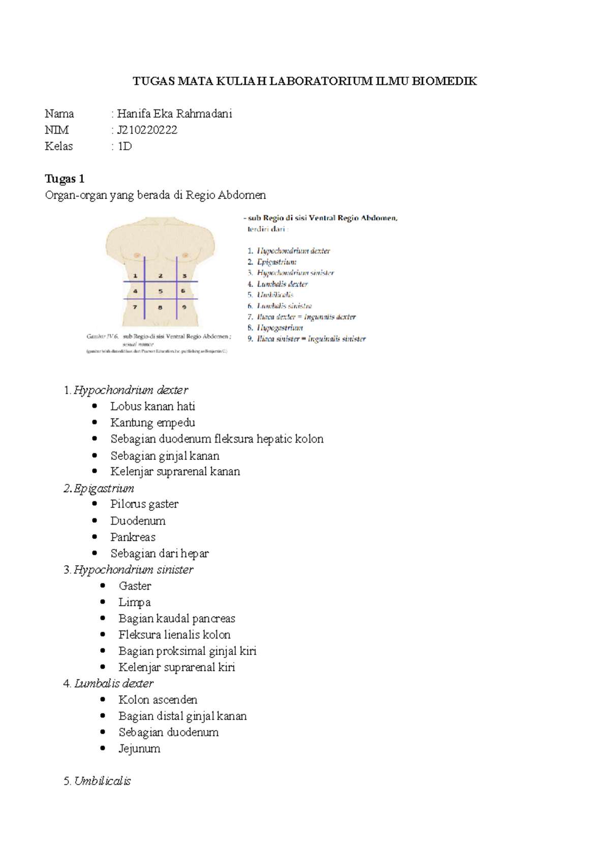 Tugas Lab. Ilmu Biomedik Anatomi Dasar - TUGAS MATA KULIAH LABORATORIUM ...