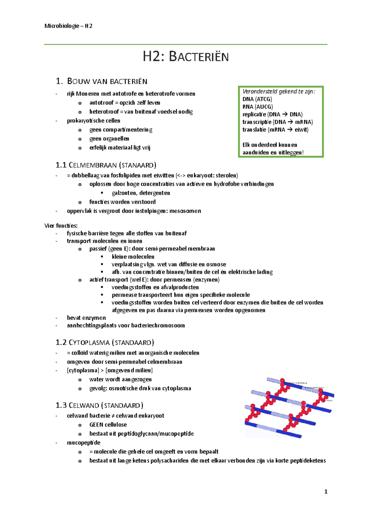 H2 - bacteriën - H2: BACTERIËN 1. BOUW VAN BACTERIËN rijk Moneren met ...