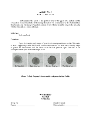 NS-Embryology- Activity NO. 8 - Activity 8 THE CHICK EMBRYO (13-24 Hour ...