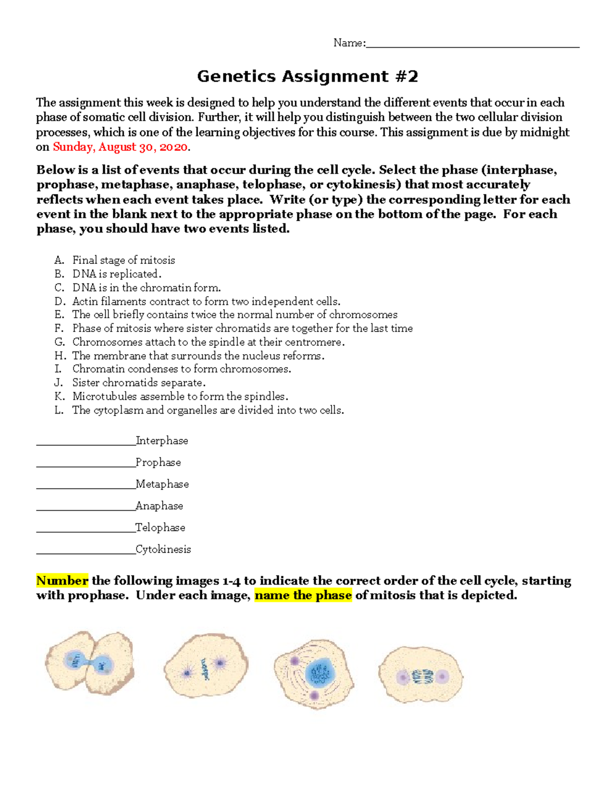 Assignment 2 Fall 2020 2 - Name:______________________________ Genetics ...