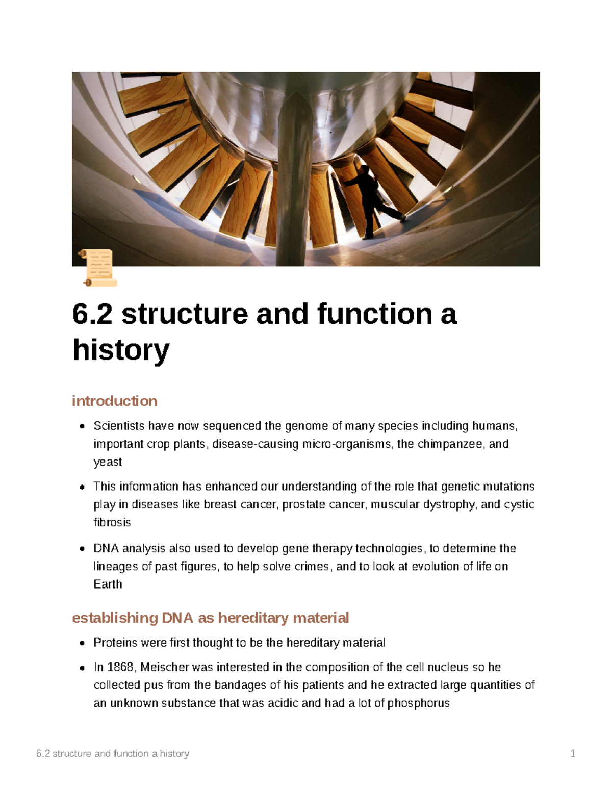 chapter 6.2 structure and function history - Ê 6 structure and function ...