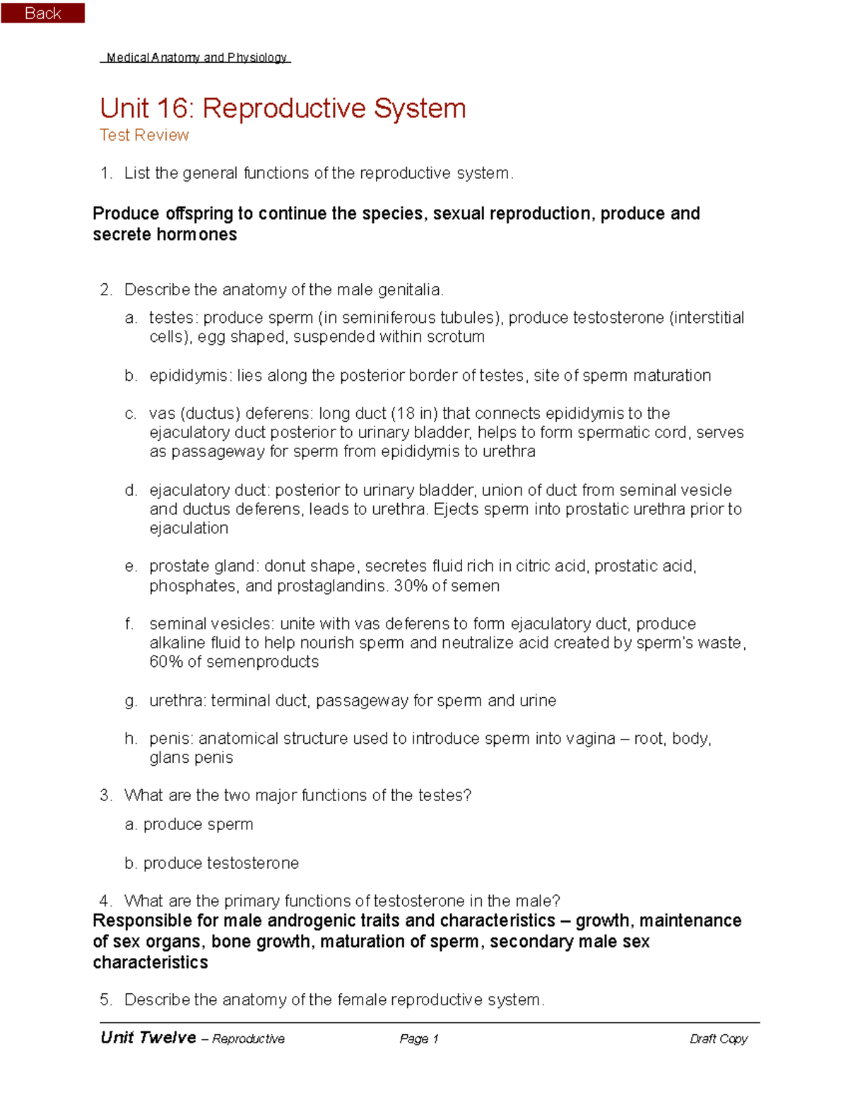 Reproductive study guide - Back Medical Anatomy and Physiology Unit ...