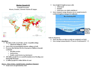 Energy Flow in Marine Food Webs, Global Patterns & Production - Light ...