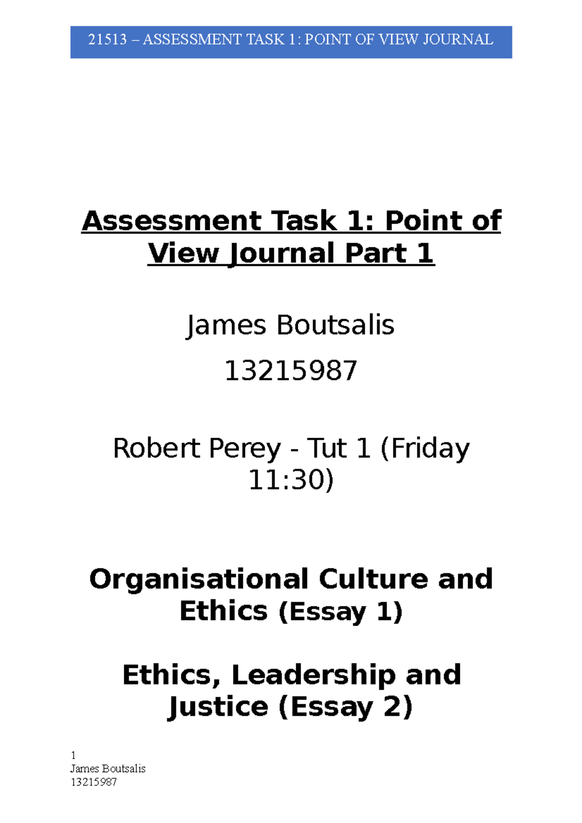 Assessment Task 1- POV Journal - Assessment Task 1: Point of View ...