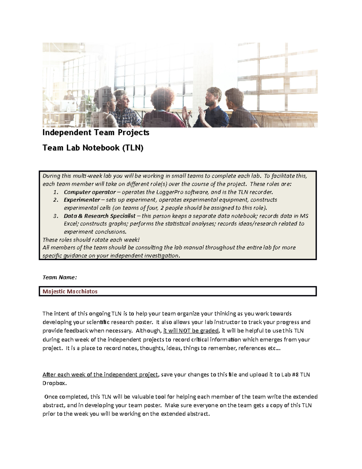 Independent Team Project TLN - Independent Team Projects Team Lab ...