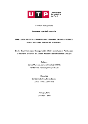 Proyecto DE Ensayo Argumentativo - PROYECTO DE ENSAYO ARGUMENTATIVO ...