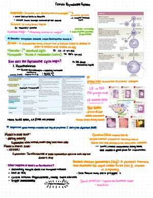 Axial and Appendicular Muscles Worksheet - Orbicularis oculi Risorius ...