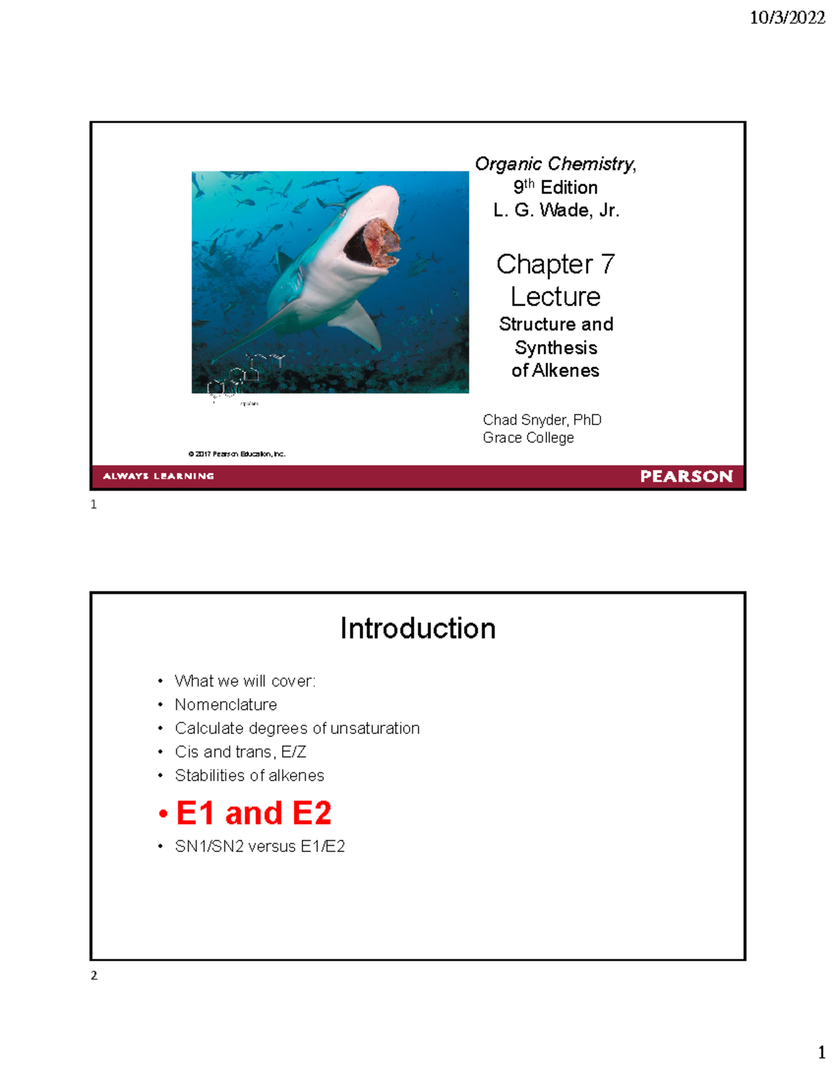 Chapter seven 2 slides per page - Chad Snyder, PhD Grace College Chapter 7 Lecture Organic ...