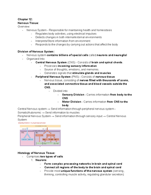 Chapter 17 A&P Special senses +lab - Chapter 17: Special Senses What ...