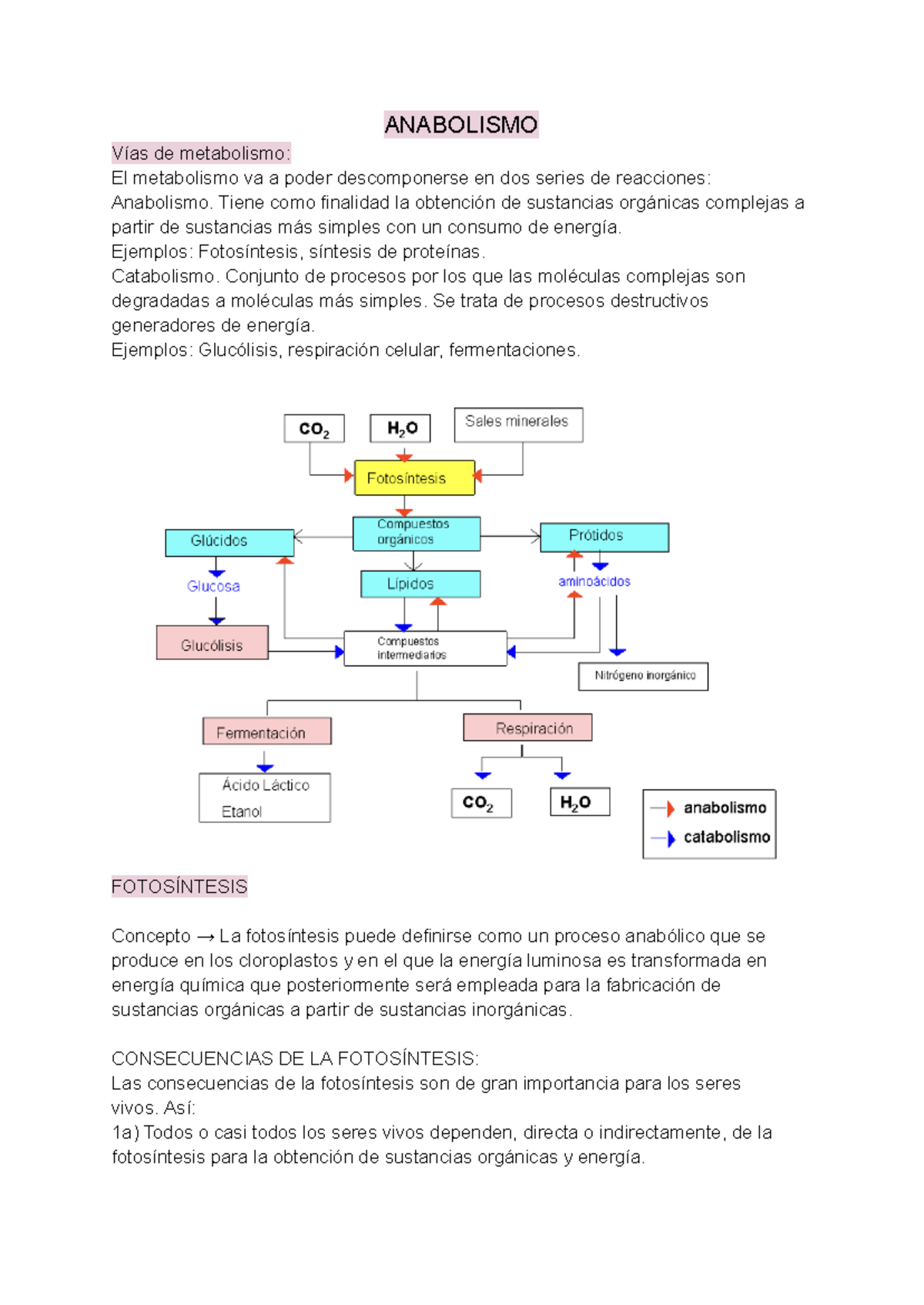 Anabolismo - ANABOLISMO Vías de metabolismo: El metabolismo va a poder ...