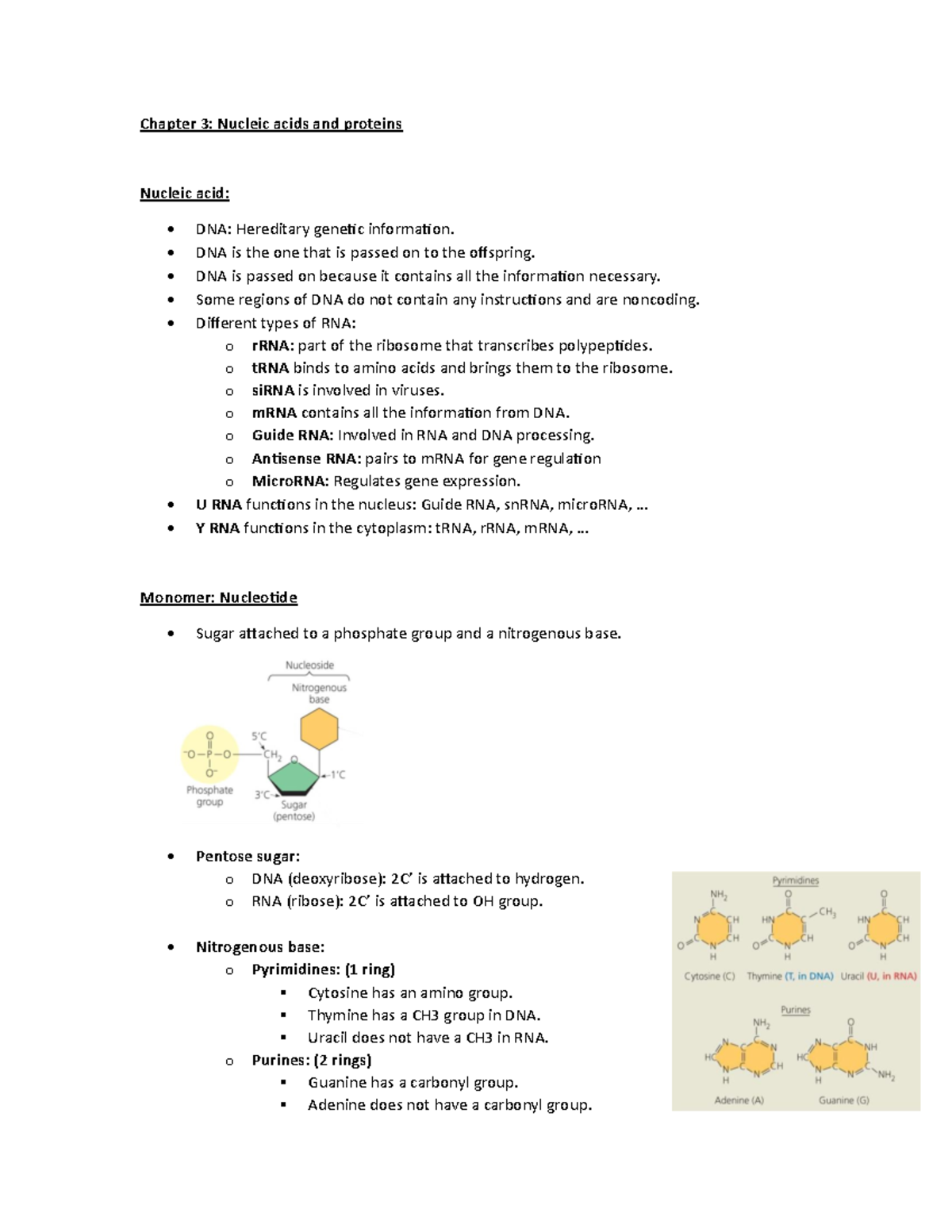 Chapter 3 BIOL 367 - lecture notes - Chapter 3: Nucleic acids and ...