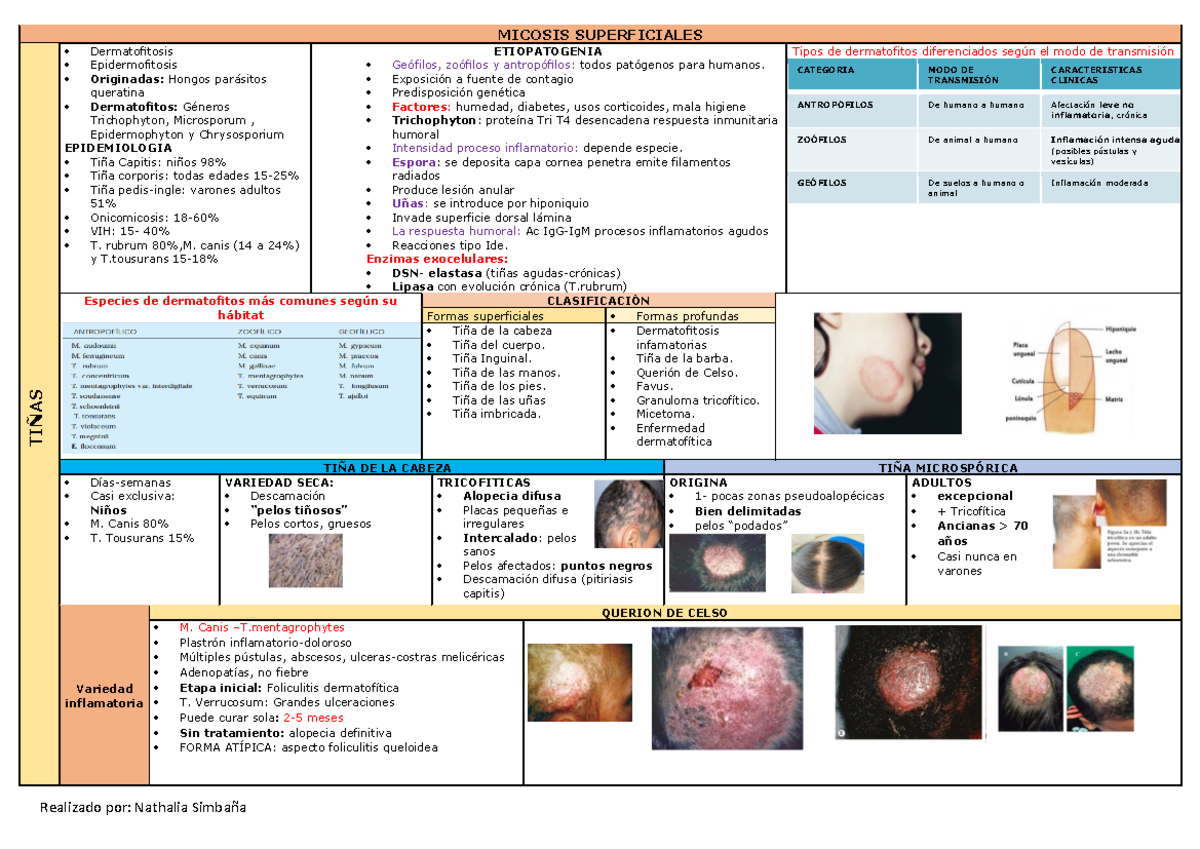 Micosis - Bibliografía: Arenas R. Dermatología. Atlas, diagnóstico y ...