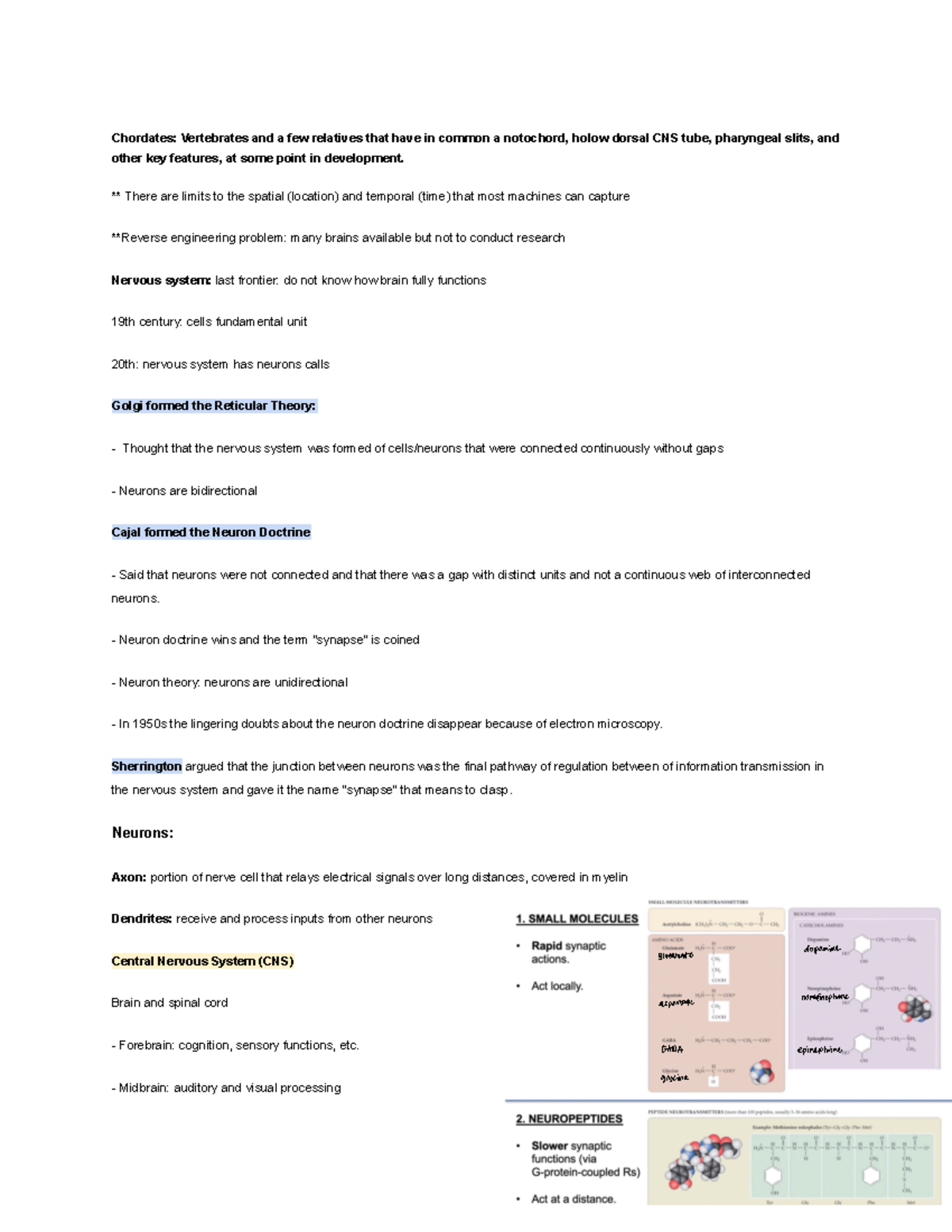 Neuroscience cheat sheet-1 - Chordates: Vertebrates and a few relatives ...