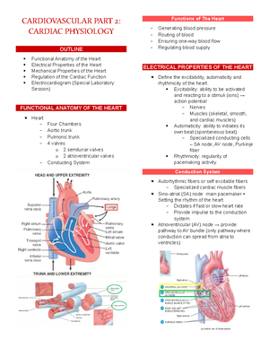 Anatomy Reviewer (Heart) - ANATOMY OF THE HEART Location of the Heart ...