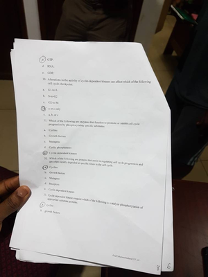 HCI-Chapter 5 - KOJO - DESIGN PROCESS In this part, we concentrate on ...