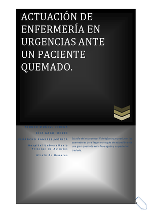 Clasificacion estomas - Clasificar las estomas intestinales y señalar ...