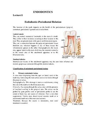 Png2pdf - notes - Endodontic - Studocu