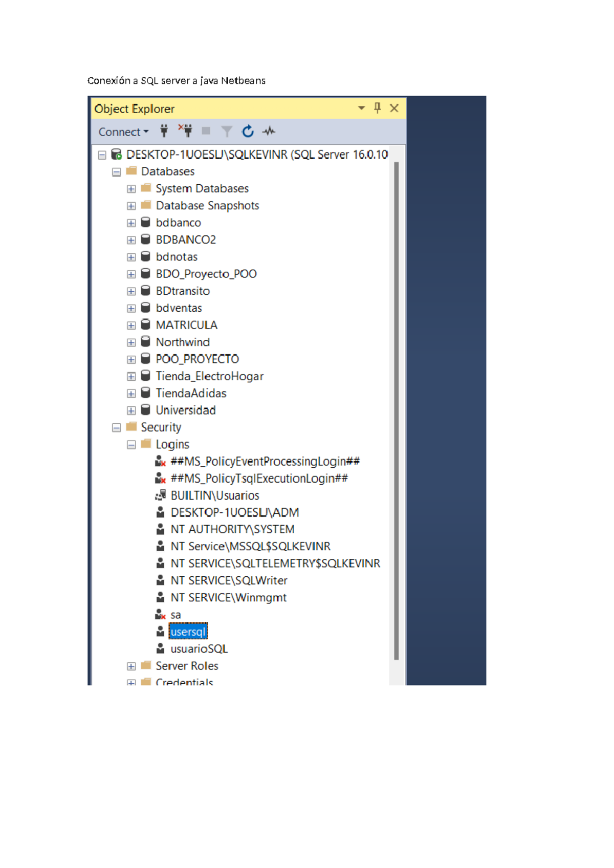 Tarea Opcional PARA AV3 - Conexión a SQL server a java Netbeans Object ...